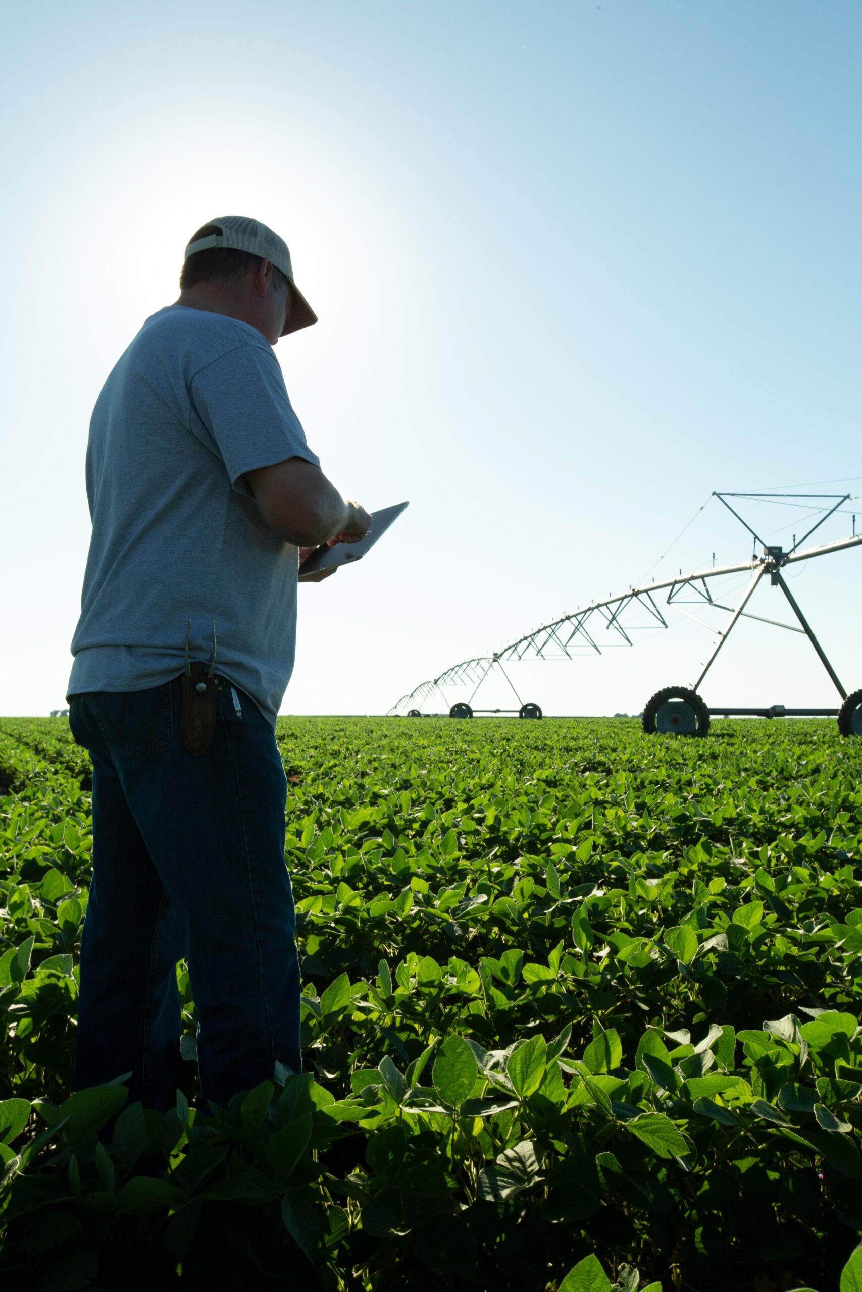 ReinCloud® 3 Remote Control - Irrigation System Management