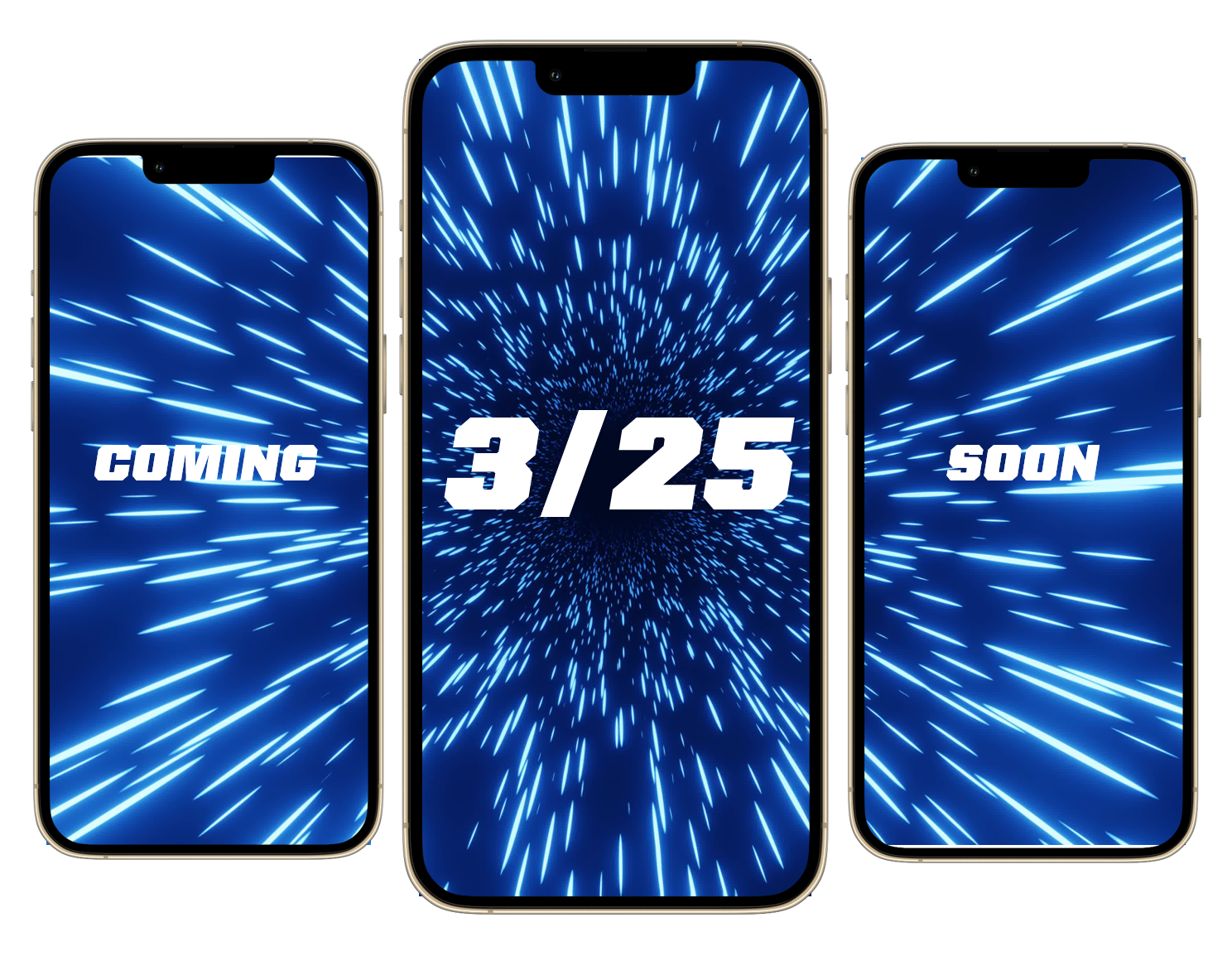 ReinCloud® 3 Remote Control - Irrigation System Management